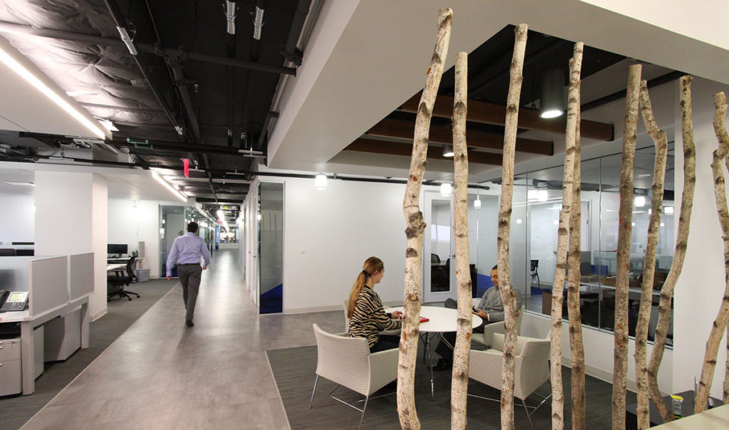 Is an Open Work Environment Always Right? - DCS Design